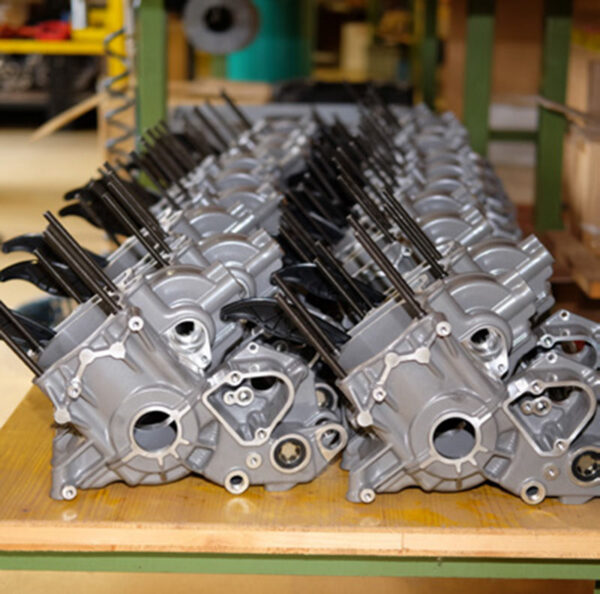 Aero 1000 HO Fuel Injected 4 Stroke Engine - BlackHawk USA - Bush Dawg